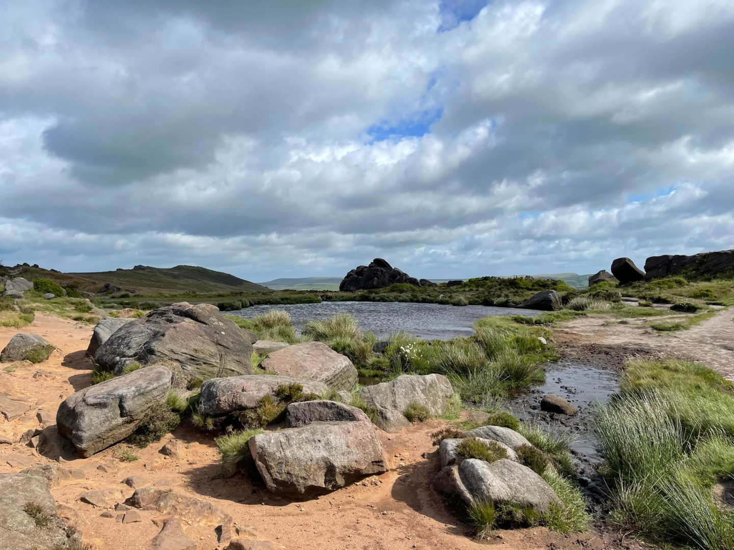 SafeHaven Trauma Centre Walk and Talk Therapy - SafeHaven Trauma Centre